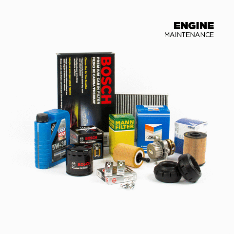 MK7 GLI 2.0T TSI Engine Maintenance – Black Forest Industries