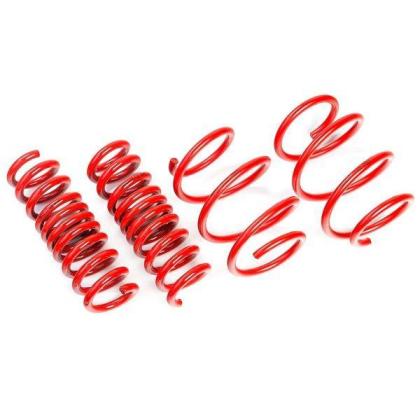 AST Suspension Lowering Springs - VW MK1 Golf GTI 1.6L/1.8L – Black ...